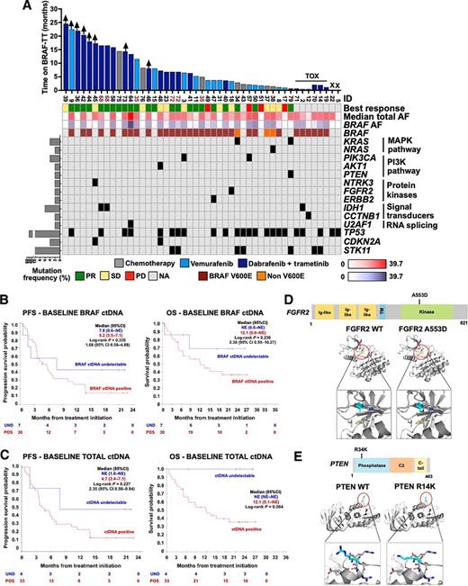 Circulating Tumor DNA Genomics Reveal Potential Mechanisms of ...
