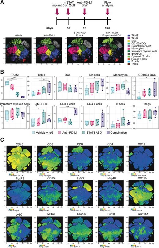 STAT3 Antisense Oligonucleotide Remodels the Suppressive Tumor ...
