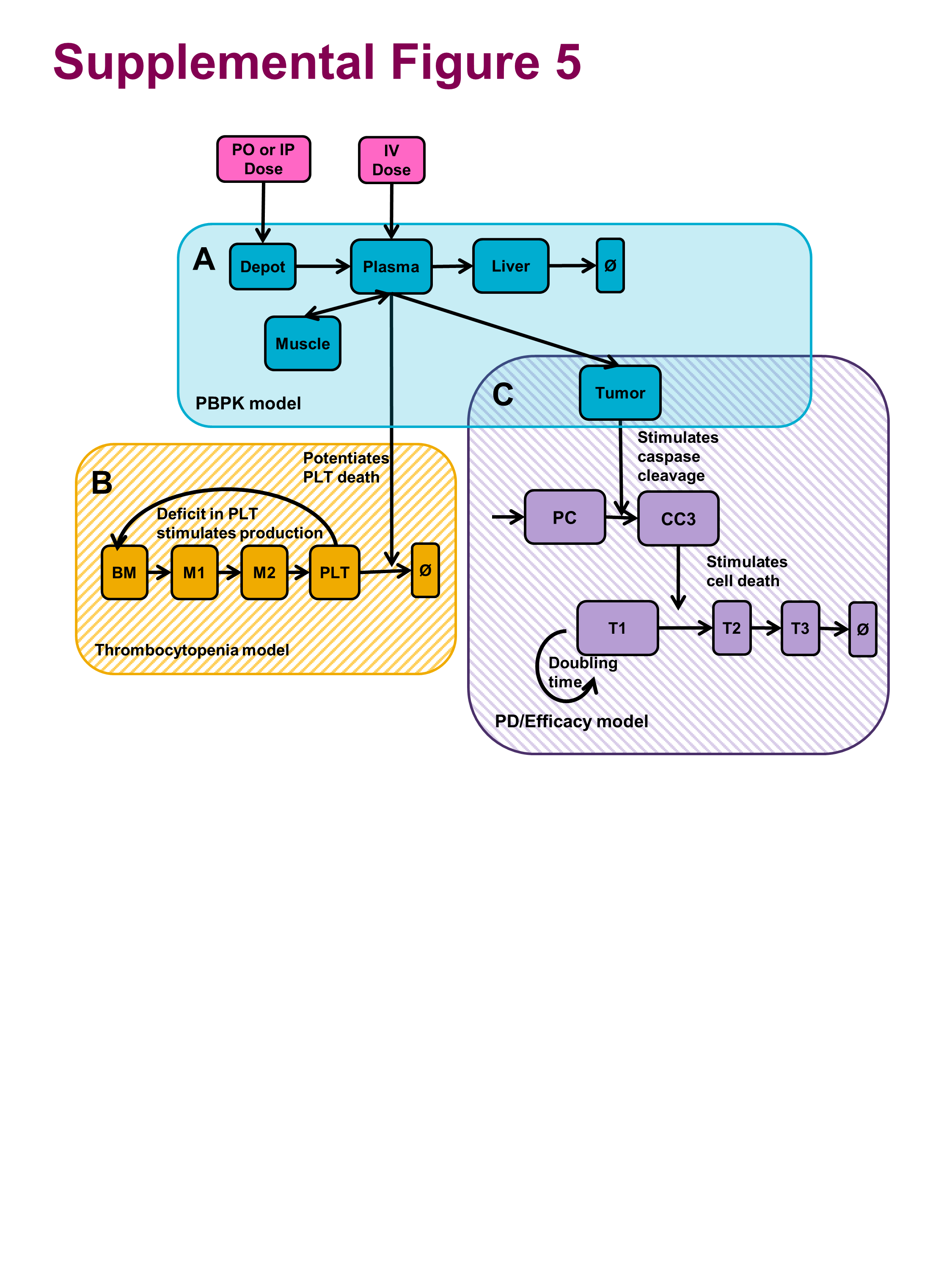 AZD4320, A Dual Inhibitor of Bcl-2 and Bcl-xL, Induces Tumor Regression ...