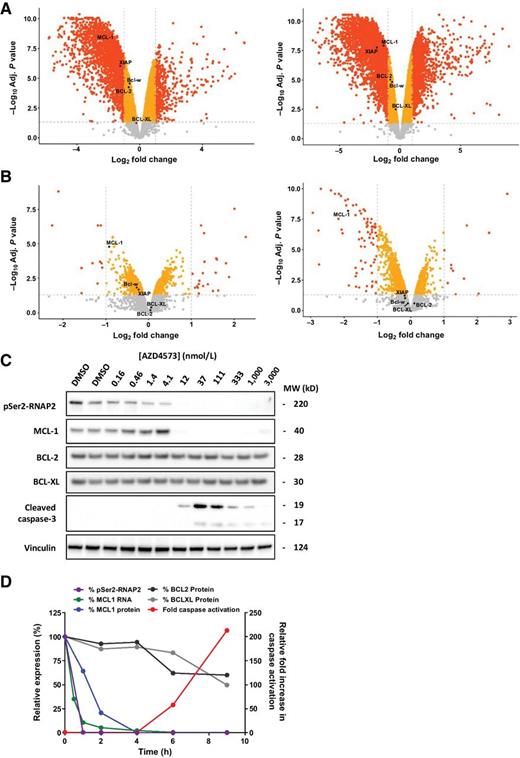 AZD4573 Is a Highly Selective CDK9 Inhibitor That Suppresses MCL-1 and ...