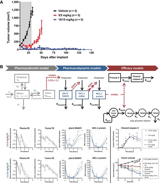 AZD4573 Is a Highly Selective CDK9 Inhibitor That Suppresses MCL-1 and ...