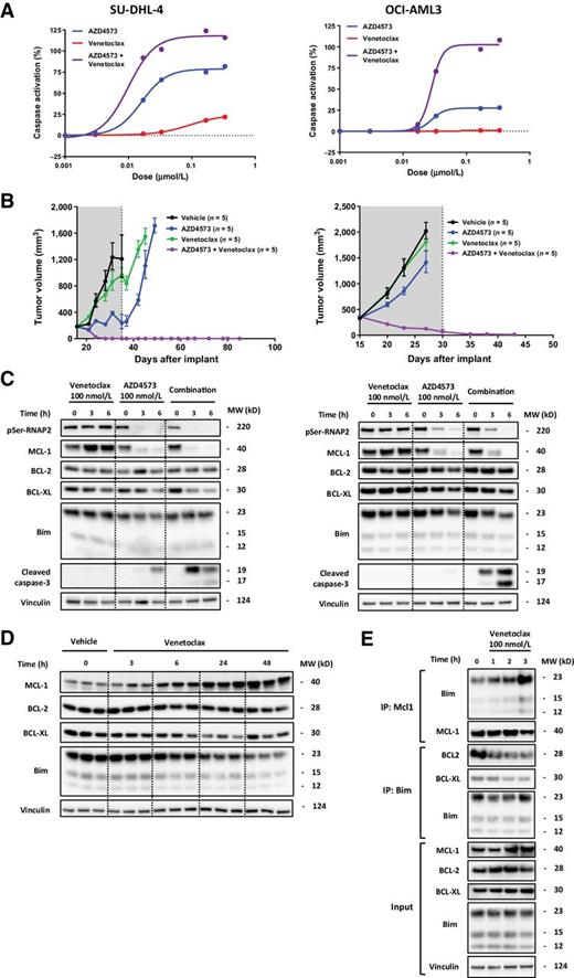 AZD4573 Is a Highly Selective CDK9 Inhibitor That Suppresses MCL-1 and ...