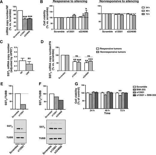 A Somatostatin Receptor Subtype-3 (SST3) Peptide Agonist Shows ...