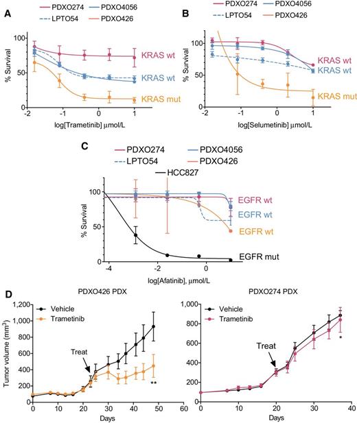 Organoid Cultures as Preclinical Models of Non–Small Cell Lung Cancer ...