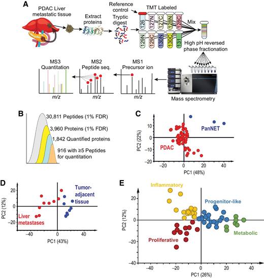 The Proteomic Landscape of Pancreatic Ductal Adenocarcinoma Liver ...