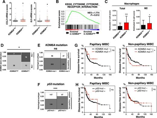 Kdm6a Deficiency Activates Inflammatory Pathways, Promotes M2 ...