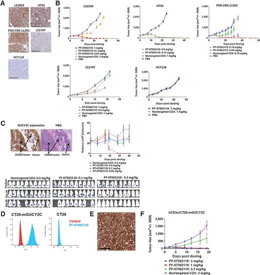 A Novel GUCY2C-CD3 T-Cell Engaging Bispecific Construct (PF-07062119 ...