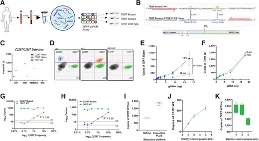 TERT Promoter Mutation Analysis for Blood-Based Diagnosis and ...