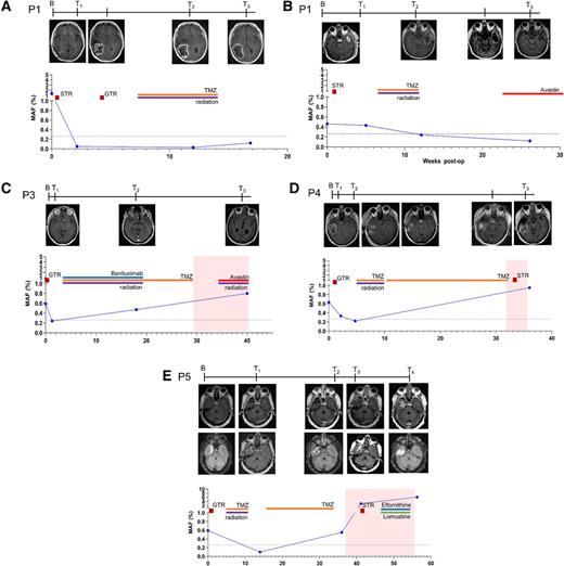 TERT Promoter Mutation Analysis for Blood-Based Diagnosis and ...