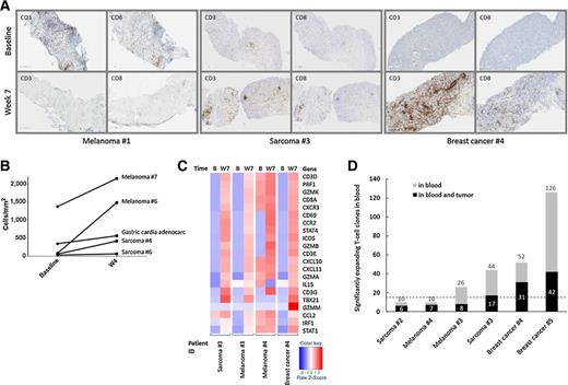 Safety, Antitumor Activity, and T-cell Responses in a Dose-Ranging ...