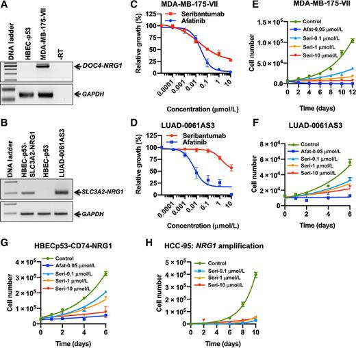 The Anti-HER3 mAb Seribantumab Effectively Inhibits Growth of Patient ...