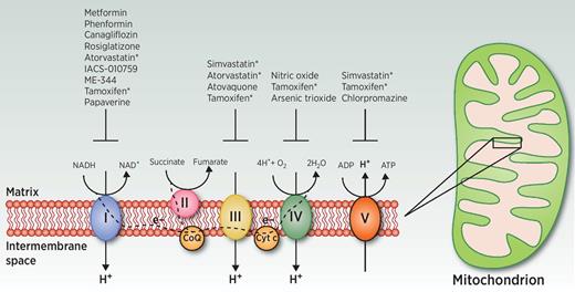 Targeting Oxidative Phosphorylation to Increase the Efficacy of Radio ...