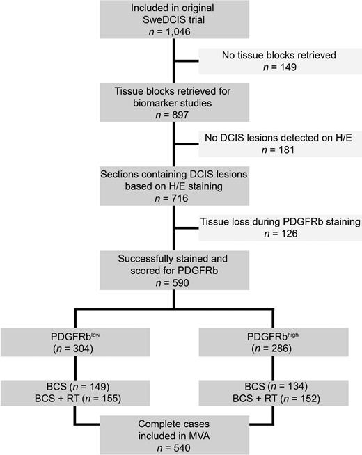 High PDGFRb Expression Predicts Resistance to Radiotherapy in DCIS ...