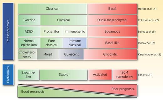 Molecular Subtypes of Pancreatic Cancer: A Proteomics Approach ...