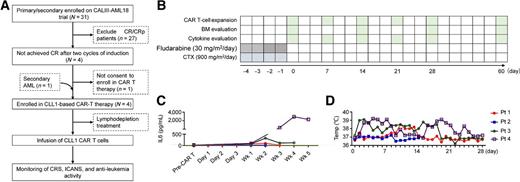 Anti-CLL1 Chimeric Antigen Receptor T-Cell Therapy in Children with ...