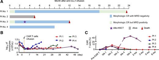 Anti-CLL1 Chimeric Antigen Receptor T-Cell Therapy in Children with ...