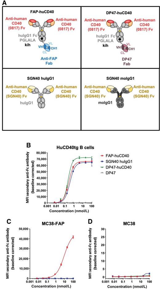 Fibroblast Activation Protein α-Targeted CD40 Agonism Abrogates ...