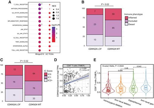 CDKN2A Alterations and Response to Immunotherapy in Solid Tumors ...