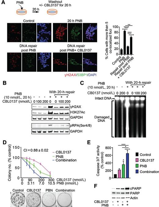 Dual Targeting of Chromatin Stability By The Curaxin CBL0137 and ...