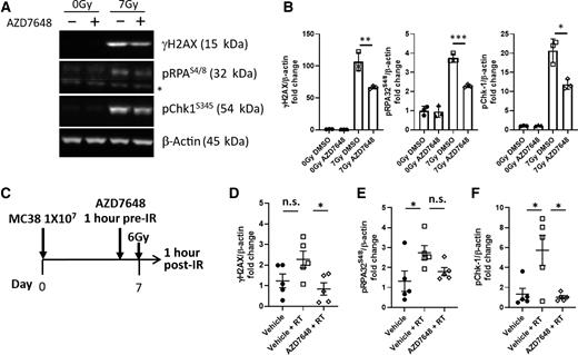 Inhibition of DNA-PK with AZD7648 Sensitizes Tumor Cells to ...