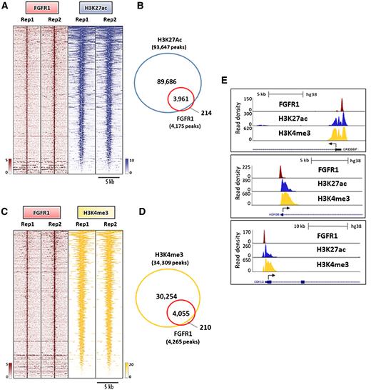 Nuclear FGFR1 Regulates Gene Transcription and Promotes Antiestrogen ...