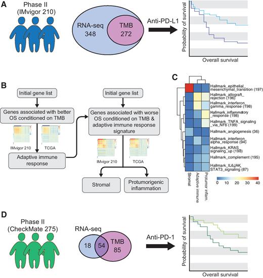 Myeloid Cell–associated Resistance to PD-1/PD-L1 Blockade in Urothelial ...