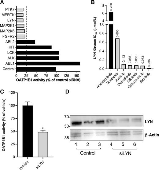 Regulation of OATP1B1 Function by Tyrosine Kinase–mediated ...