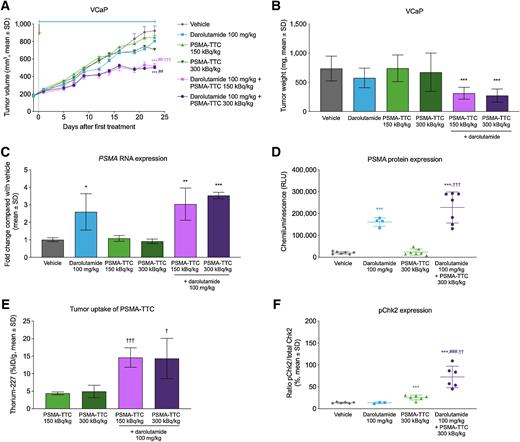Darolutamide Potentiates the Antitumor Efficacy of a PSMA-targeted ...