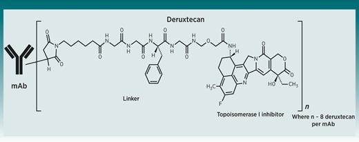 FDA Approval Summary: Fam-Trastuzumab Deruxtecan-Nxki for the Treatment ...