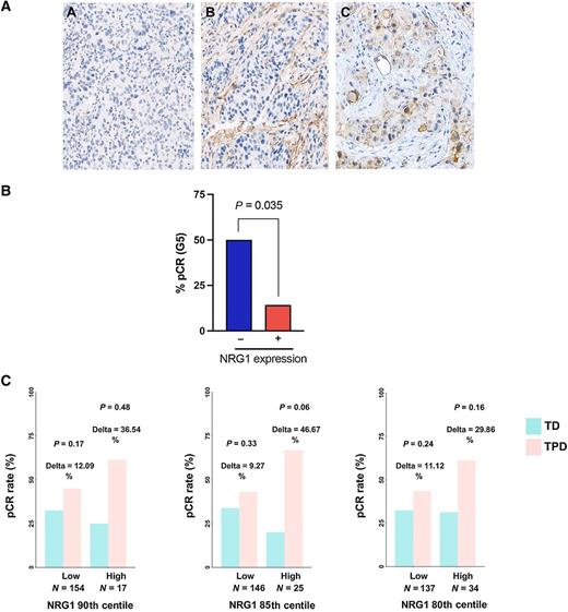 Preclinical and Clinical Characterization of Fibroblast-derived ...