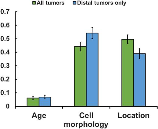 Location of Gastrointestinal Stromal Tumor (GIST) in the Stomach ...
