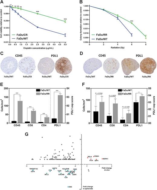 Recurrent HNSCC Harbor an Immunosuppressive Tumor Immune ...