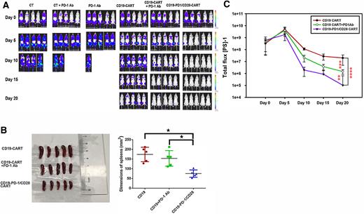 CD19-specific CAR T Cells that Express a PD-1/CD28 Chimeric Switch ...