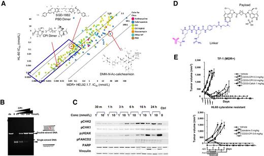 Development of Highly Optimized Antibody–Drug Conjugates against CD33 ...