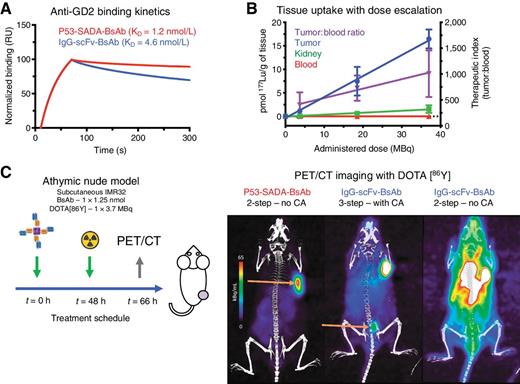 A Self-Assembling and Disassembling (SADA) Bispecific Antibody (BsAb ...