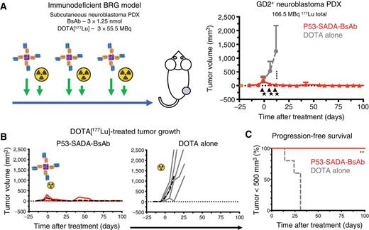 A Self-Assembling and Disassembling (SADA) Bispecific Antibody (BsAb ...