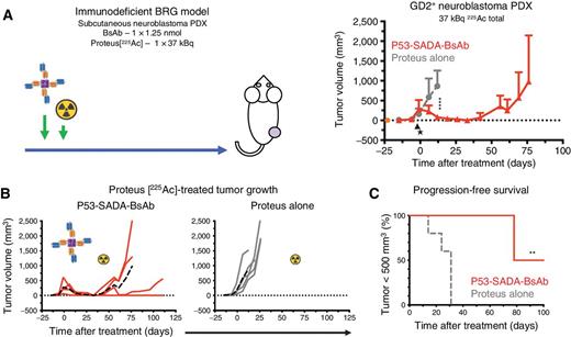 A Self-Assembling and Disassembling (SADA) Bispecific Antibody (BsAb ...