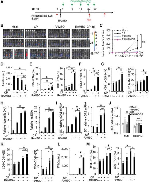 Oncolytic HSV Therapy Modulates Vesicular Trafficking Inducing ...