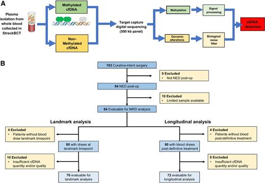 Minimal Residual Disease Detection using a Plasma-only Circulating ...