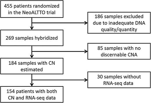 Copy Number Aberration Analysis to Predict Response to Neoadjuvant Anti ...