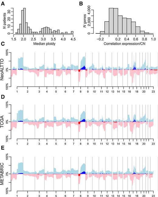 Copy Number Aberration Analysis to Predict Response to Neoadjuvant Anti ...