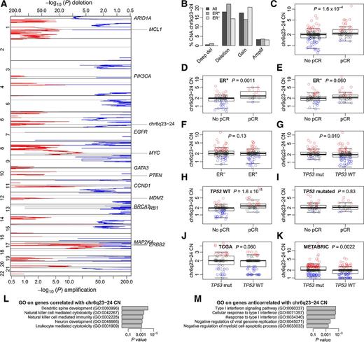 Copy Number Aberration Analysis to Predict Response to Neoadjuvant Anti ...