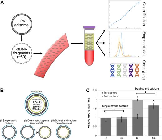 HPV Sequencing Facilitates Ultrasensitive Detection of HPV Circulating ...