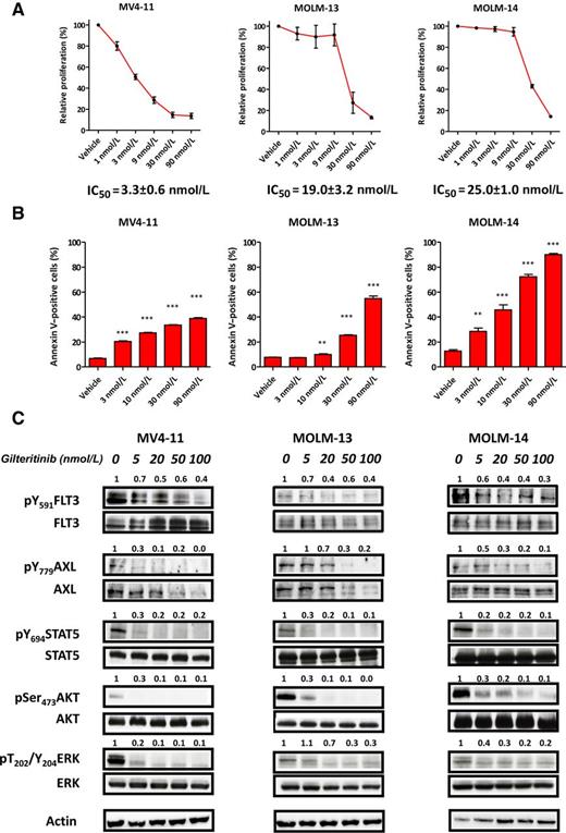 Dual Inhibition of FLT3 and AXL by Gilteritinib Overcomes Hematopoietic ...