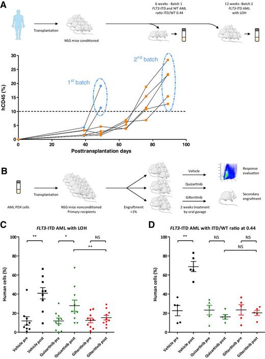 Dual Inhibition of FLT3 and AXL by Gilteritinib Overcomes Hematopoietic ...