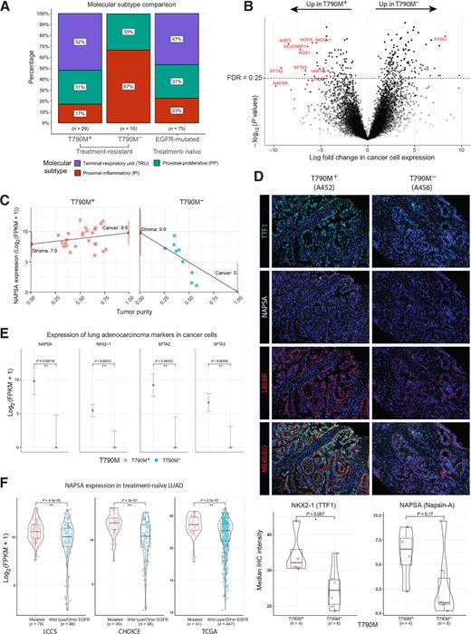 Integrative Profiling of T790M-Negative EGFR-Mutated NSCLC Reveals ...