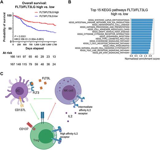 FLT3L Release by Natural Killer Cells Enhances Response to ...