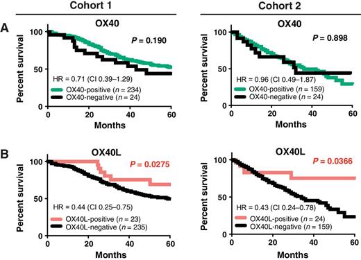 Spatial Mapping and Immunomodulatory Role of the OX40/OX40L Pathway in ...