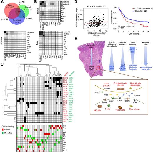 Spatially Distinct Reprogramming of the Tumor Microenvironment Based On ...