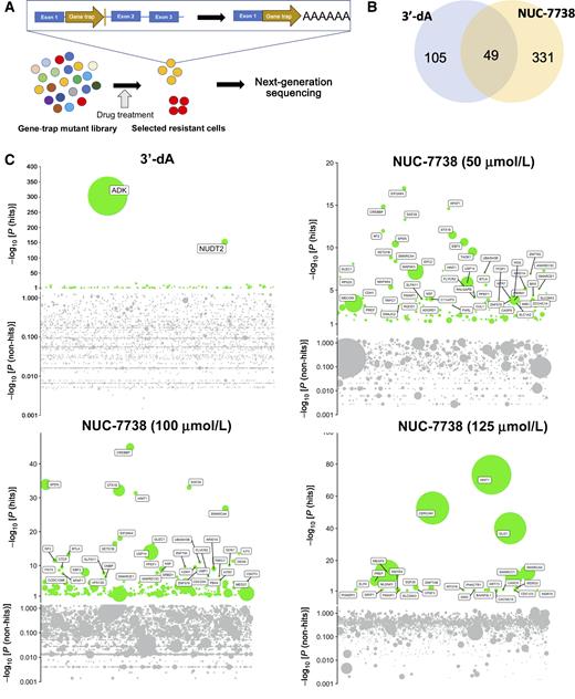 The Novel Nucleoside Analogue ProTide NUC-7738 Overcomes Cancer ...